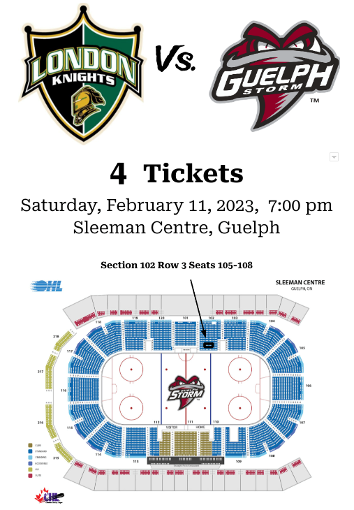 2022-2023 > 14th Annual Kyla Kowalik Memorial Tournament > Auctions ...